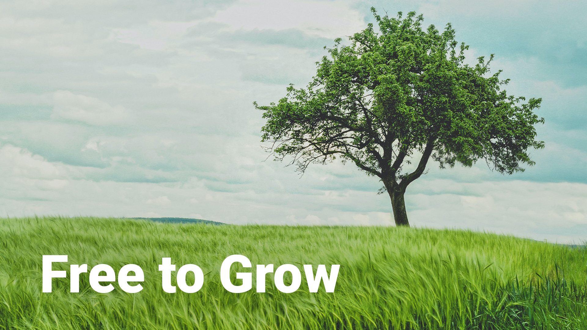 Free to Grow - Ready Now Recovery